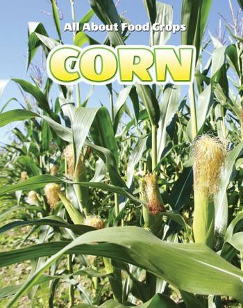 Corn | Rosen Classroom