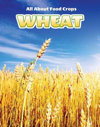 All About Food Crops | Rosen Classroom