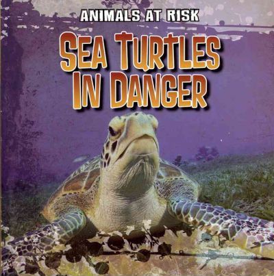 Sea Turtles in Danger | Rosen Classroom