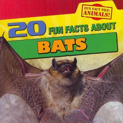 20 Fun Facts About Bats | Rosen Classroom