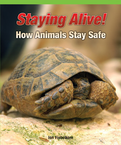 Real Life Readers Levels E – L Complete Set(Canada) | Rosen Classroom