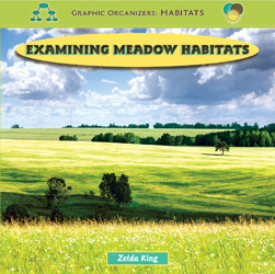 Graphic Organizers: Habitats | Rosen Classroom