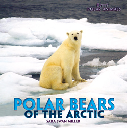 Brrr! Polar Animals | Rosen Classroom