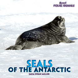 Brrr! Polar Animals | Rosen Classroom