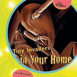 Tiny Invaders | Rosen Classroom
