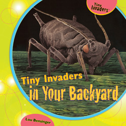 Tiny Invaders | Rosen Classroom