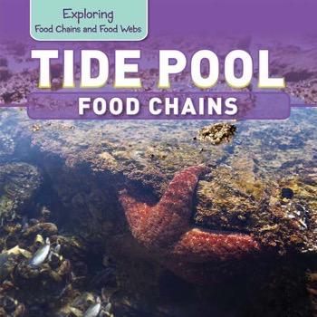 Tide Pool Food Chains | Rosen Classroom