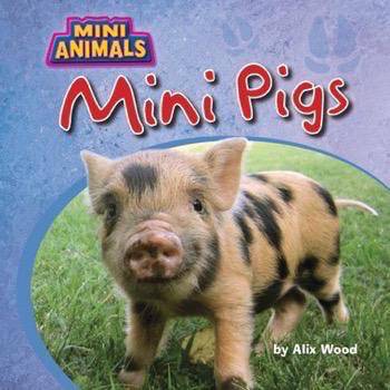 Mini Pigs | Rosen Classroom