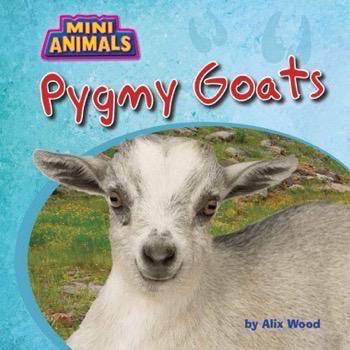 Pygmy Goats | Rosen Classroom