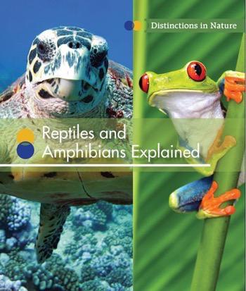 Reptiles and Amphibians Explained | Rosen Classroom