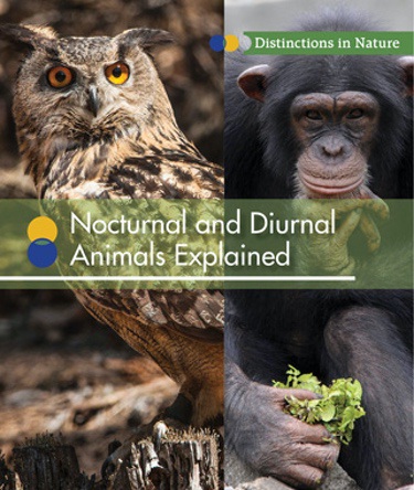 Nocturnal and Diurnal Animals Explained | Rosen Classroom