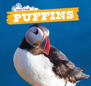 Puffins | Rosen Classroom