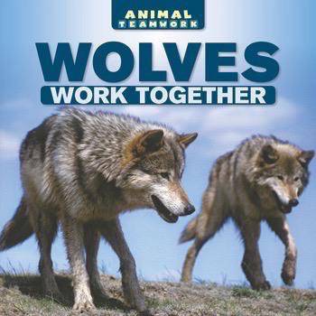 Animal Teamwork | Rosen Classroom
