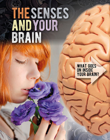 What Goes On Inside Your Brain? | Rosen Classroom
