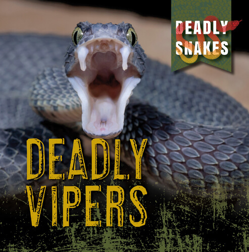 Deadly Snakes | Rosen Classroom