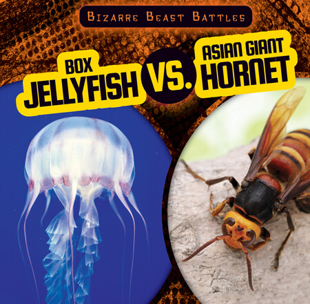 Bizarre Beast Battles: Set 4 | Rosen Classroom