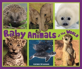 Baby Animals of the World | Rosen Classroom