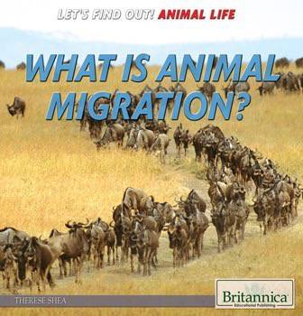 What Is Animal Migration? | Rosen Classroom