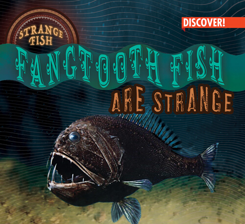 Strange Fish | Rosen Classroom