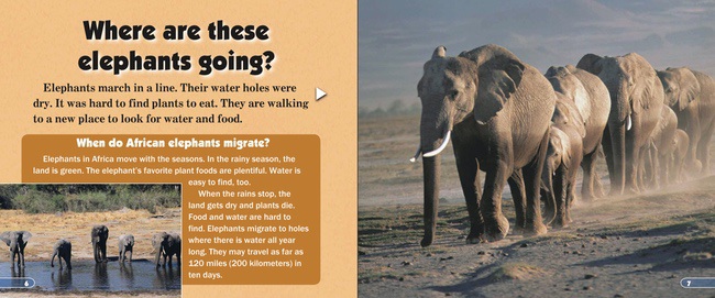 Do Animals Migrate? | Rosen Classroom