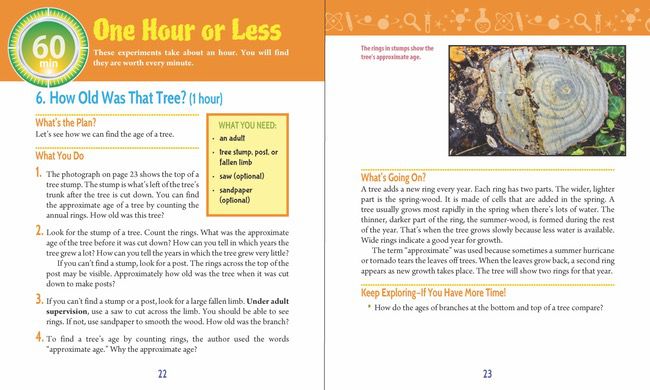 Temperate Forest Experiments | Rosen Classroom