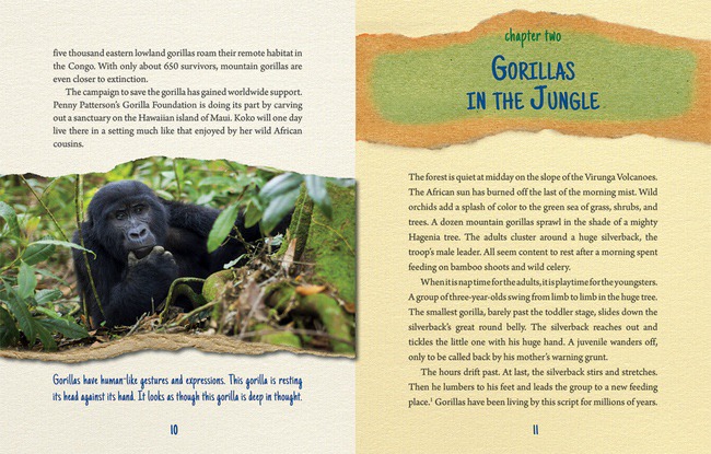 Endangered Gorillas | Rosen Classroom