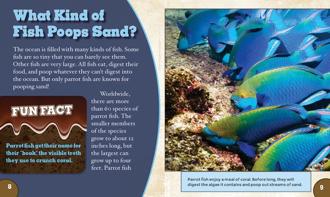 Creating Sand Beaches with Poop | Rosen Classroom