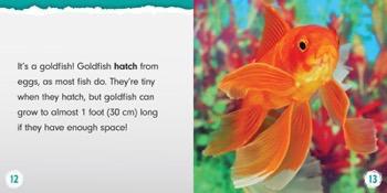 Name That Fish! | Rosen Classroom