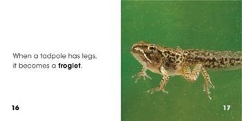 A Tadpole Becomes a Frog | Rosen Classroom