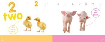 Counting | Rosen Classroom