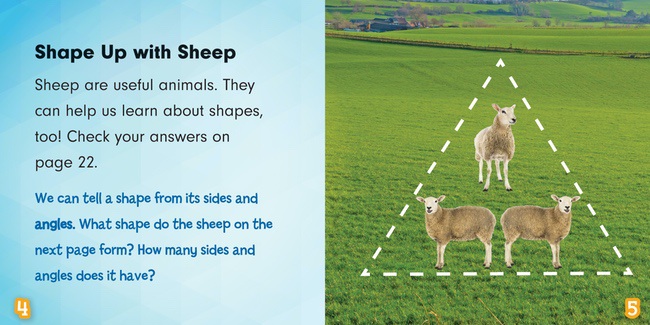 Shapes with Sheep | Rosen Classroom