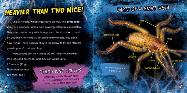 Giant Wetas Shock! | Rosen Classroom