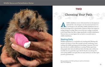 Wildlife Rescue and Rehabilitation Worker | Rosen Classroom