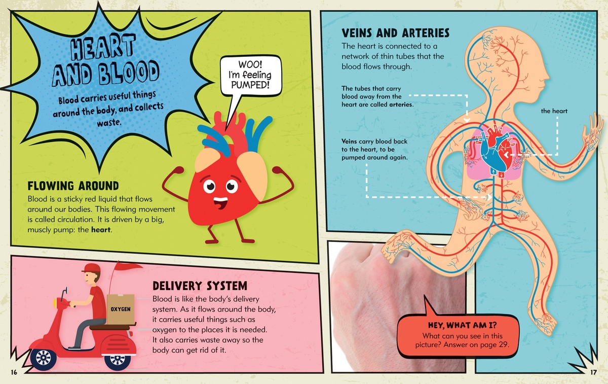 Human Body Rosen Classroom