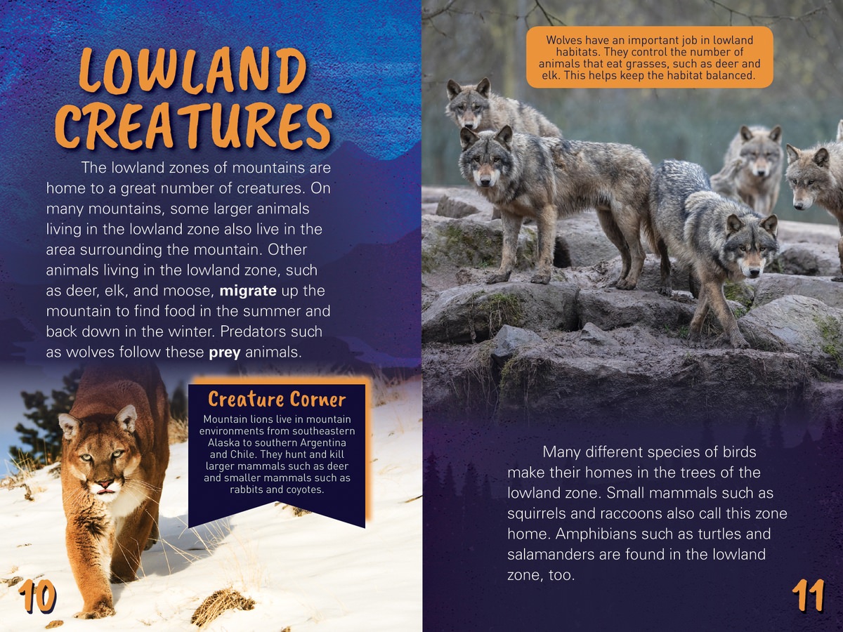 Creatures on a Towering Mountain | Rosen Classroom