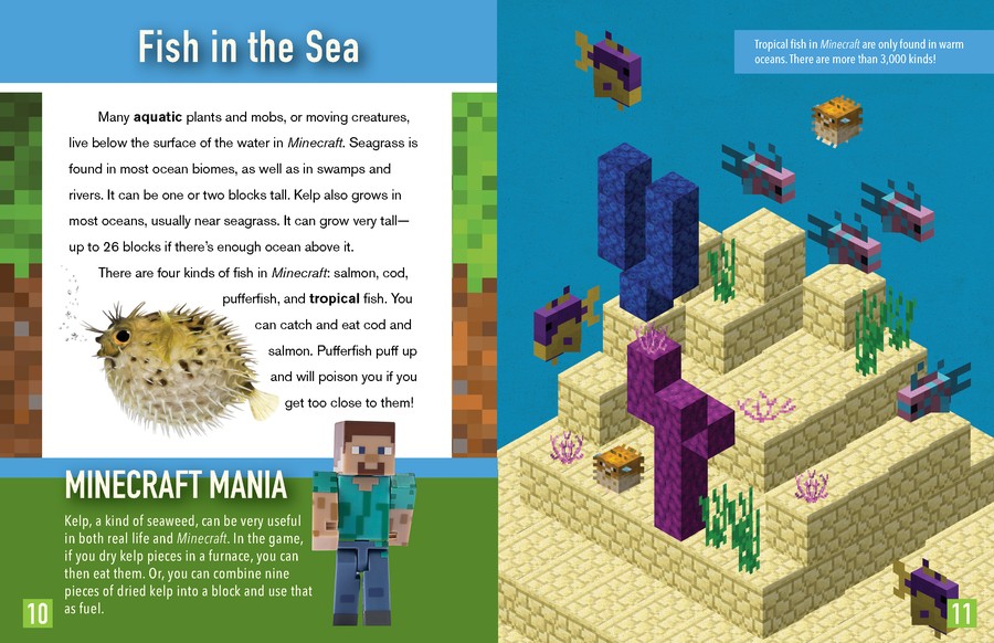 The Unofficial Guide to Studying Oceans in Minecraft® | Rosen Classroom